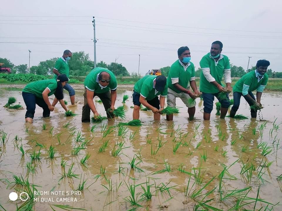 १८ औँ राष्ट्रिय धान दिवस कपिलवस्तुमा मनाइयो